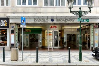 Broadway Palace – extraordinary cultural monument in the center of ...